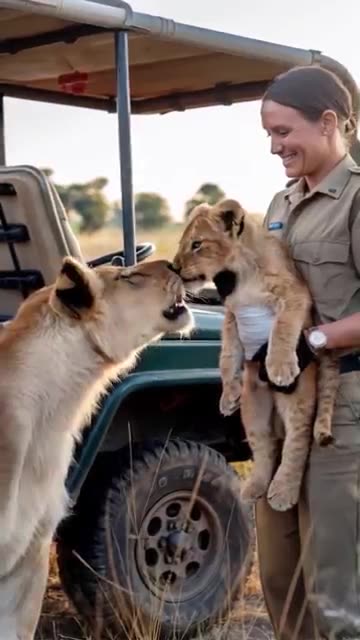 VIRAL ANIMAL VIDEO 📸🔥/WATCH FULL VIDEO 🔥🆕