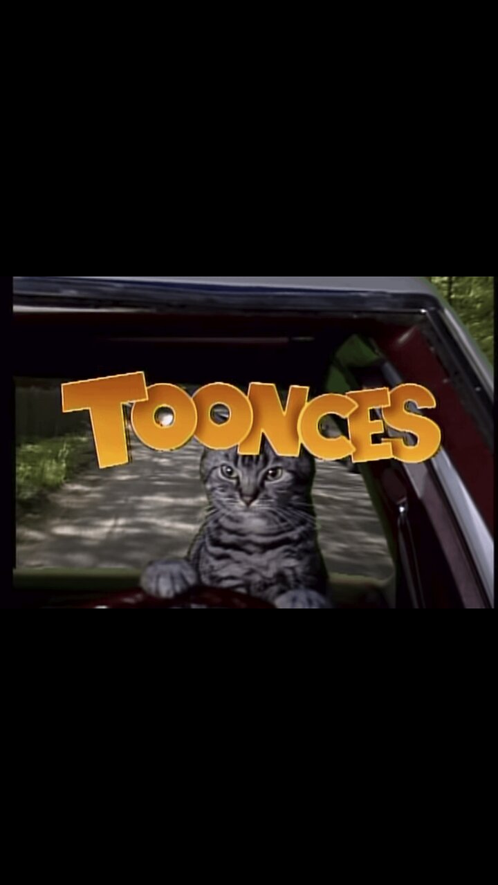 Toonces Town Tribulations