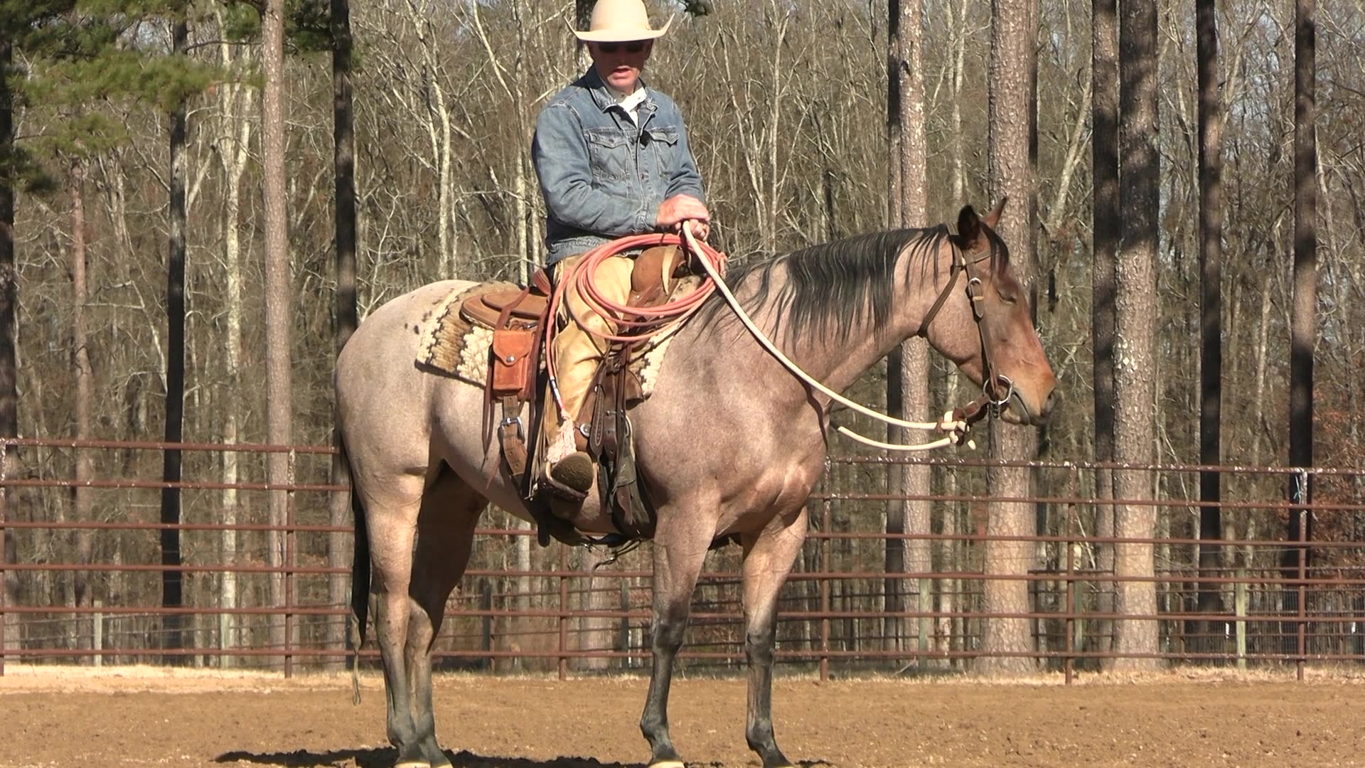 How To Teach a Horse To Rollback Part 1 Preview