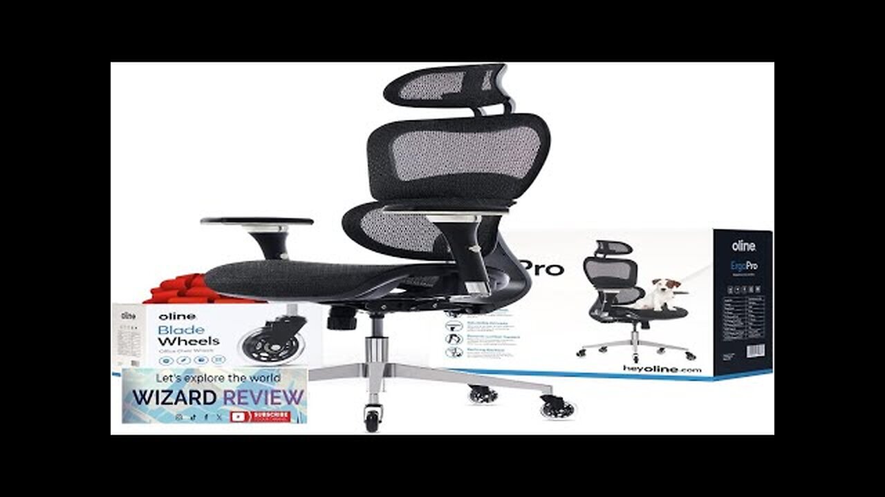 Oline ErgoPro Ergonomic Office Chair Rolling Desk Chair with 4D ...