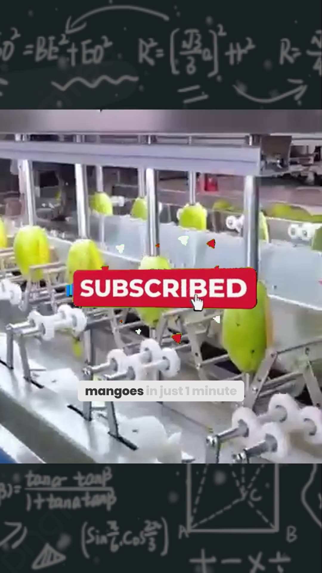 This Shocking Mango Peeling Hack Will Blow Your Mind! You Won't Believe ...