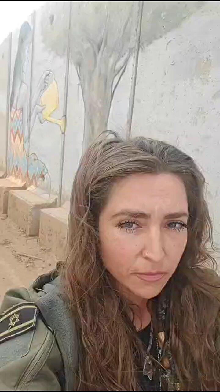 want to know about the idf, israeli defense force🪖
