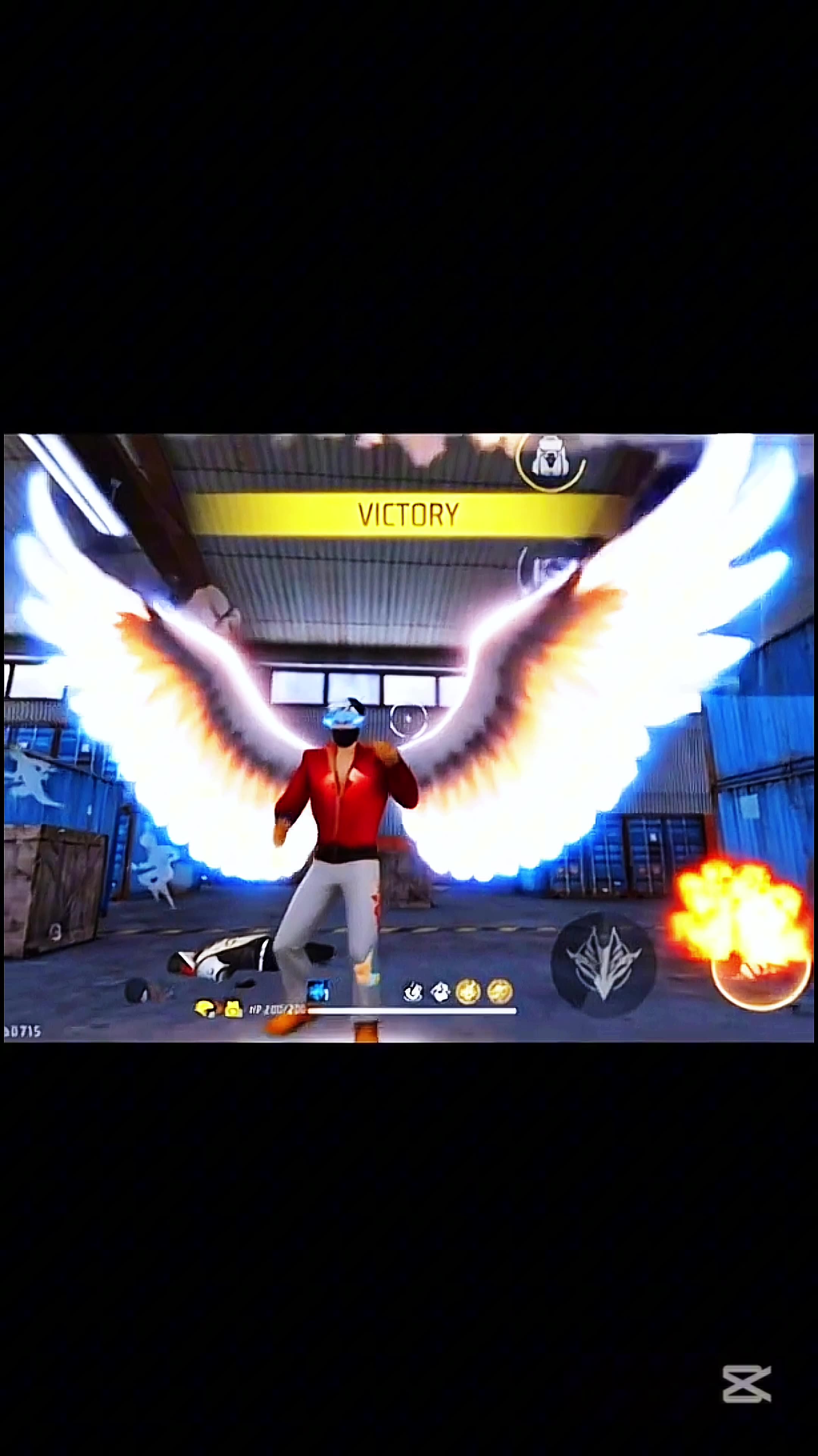 LUFFY INVINCIBLE