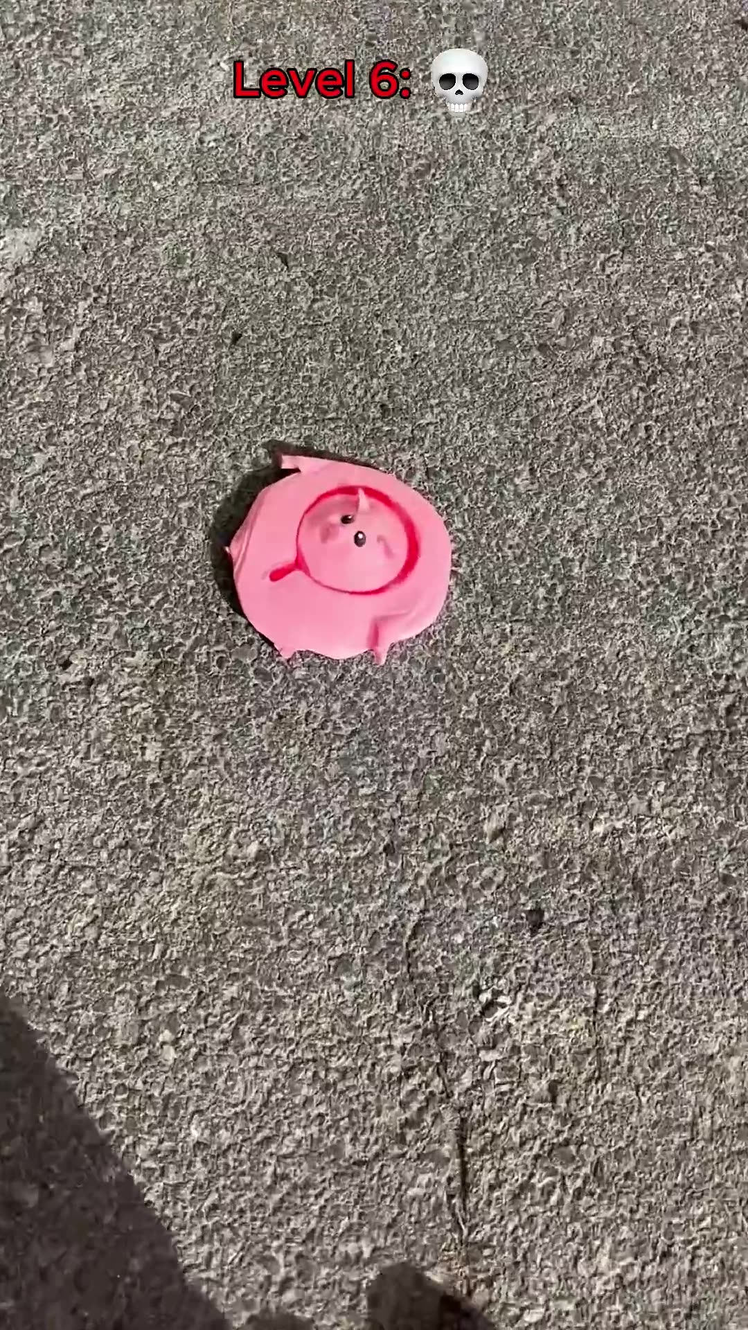 Testing the Unbreakable Pig...