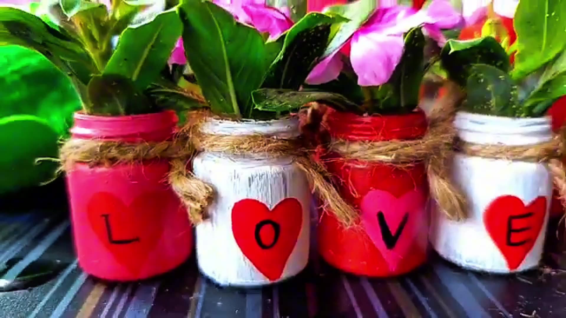 DIY Mini Plantation Ideas | Empty Paint Bottle Reuse