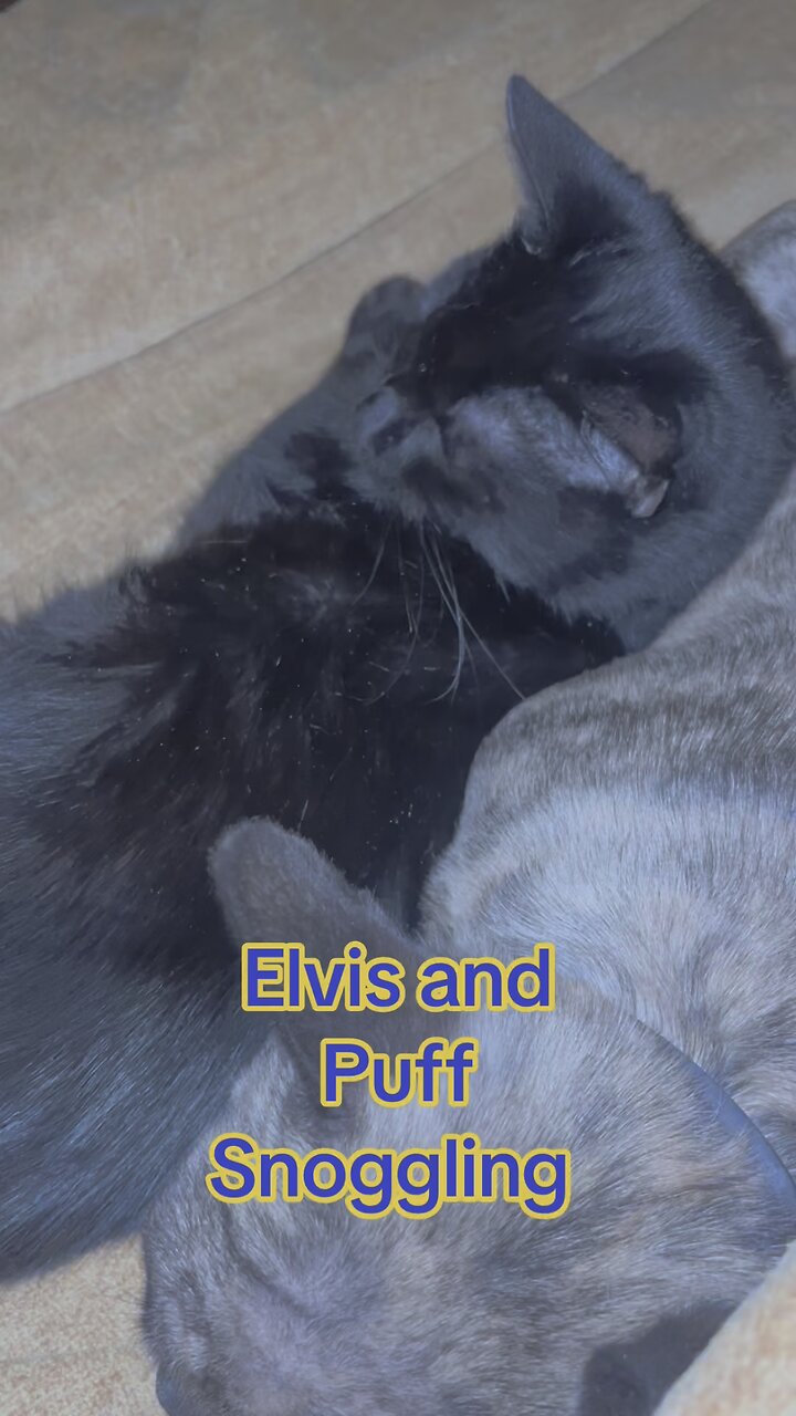 Elvis and puff