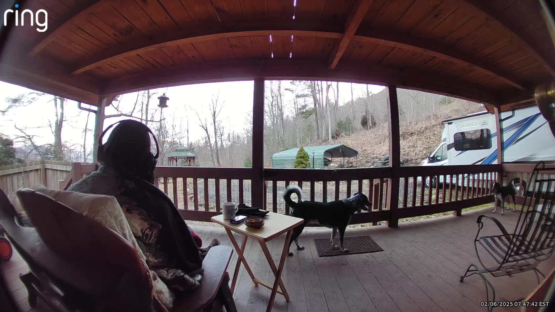 NW NC at The Treehouse. It got up to 67°F today Bonham and Annie doing ...