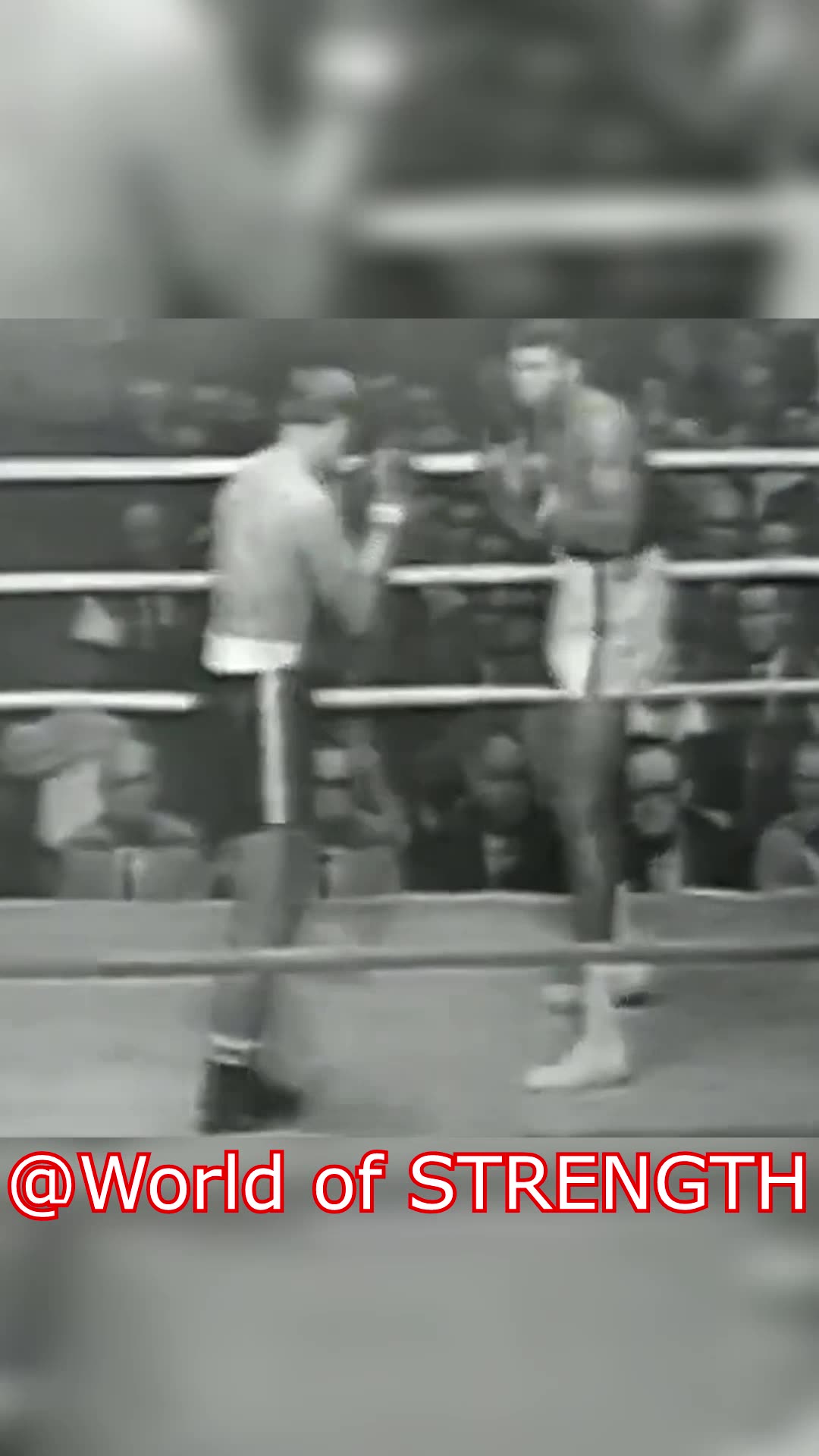 Muhammad Ali vs Alex Miteff