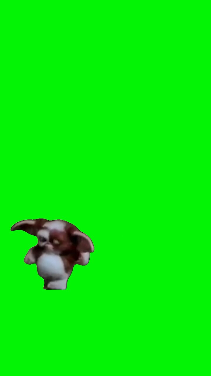 Gizmo Running | Green Screen