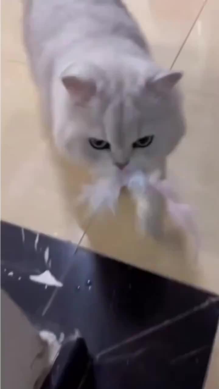 It’s not a request, it’s an order..