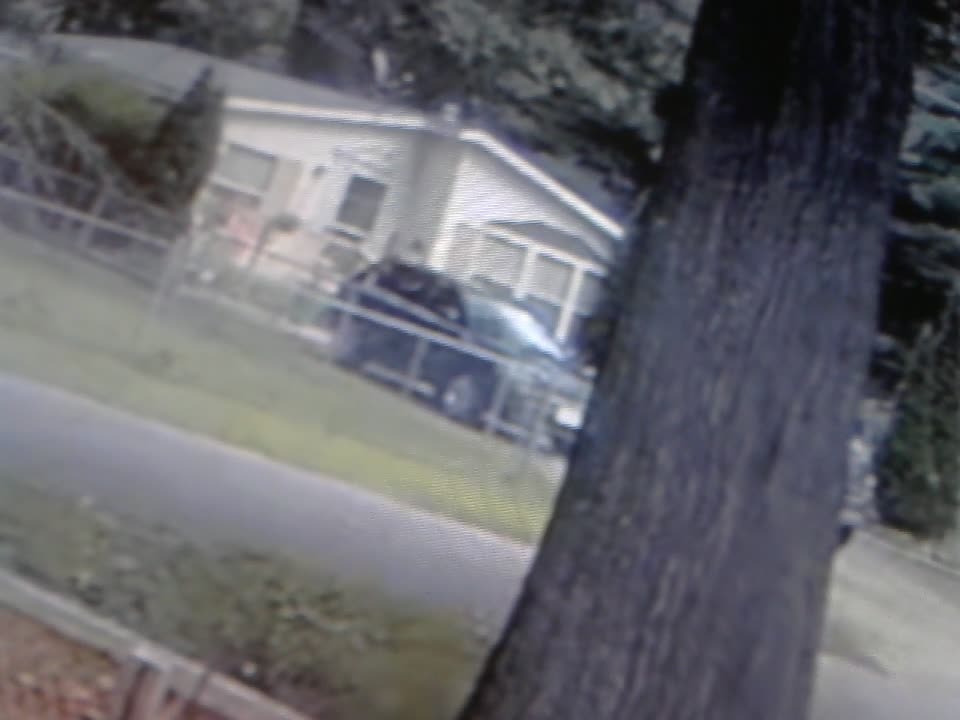 watch police destroy evidence coming out of stalkers home