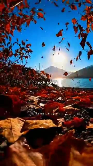 Tum Hi Ho Song Lyrics