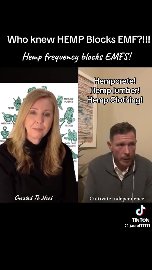 HEMP BLOCKS EMF's