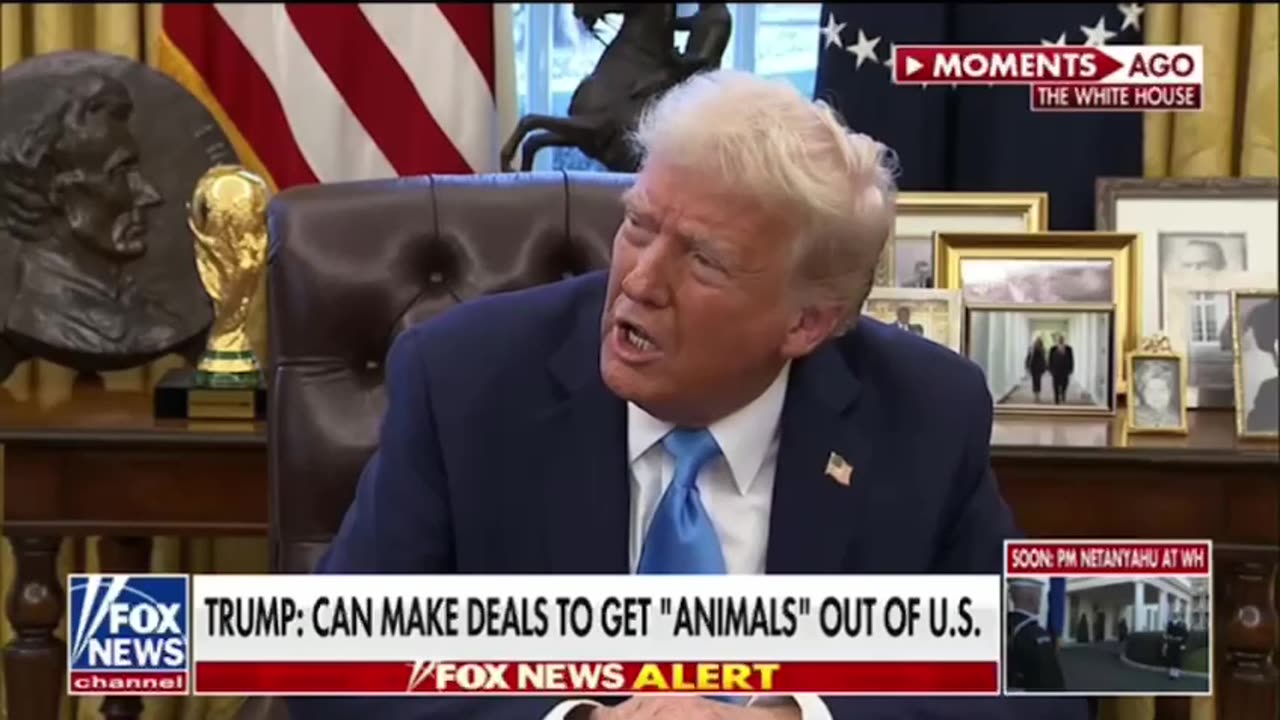 President Trump on Removing the “animals” from America & putting them ...