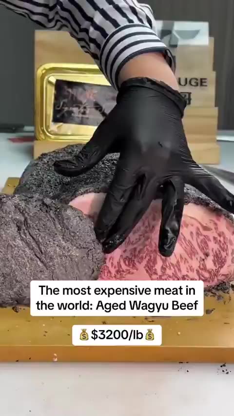 The most expensive meat in the world: Aged Wagyu beef $3200 / lb