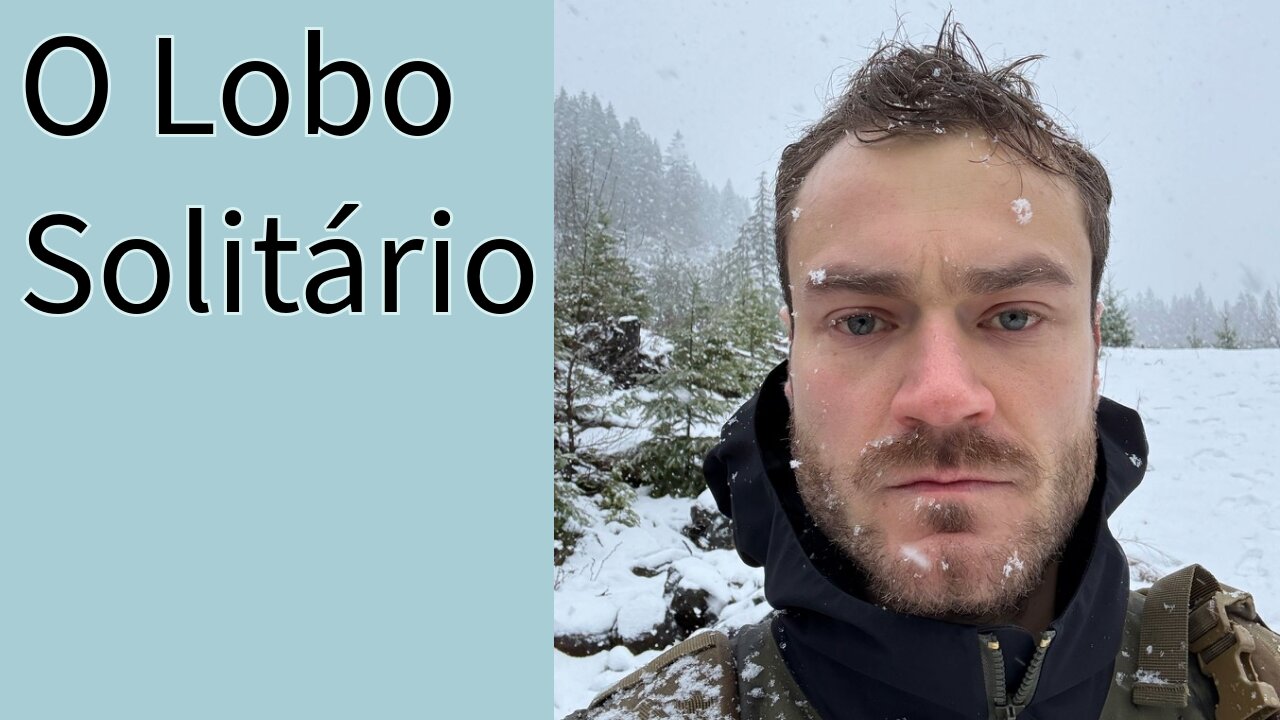 Você é ou conhece o lobo solitário?