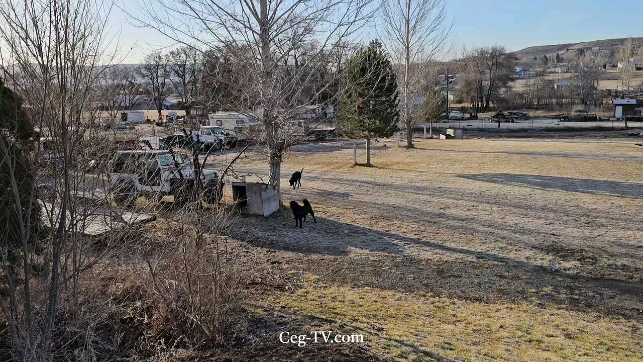 Graham Family Farm: 8:00 AM February 27 2025