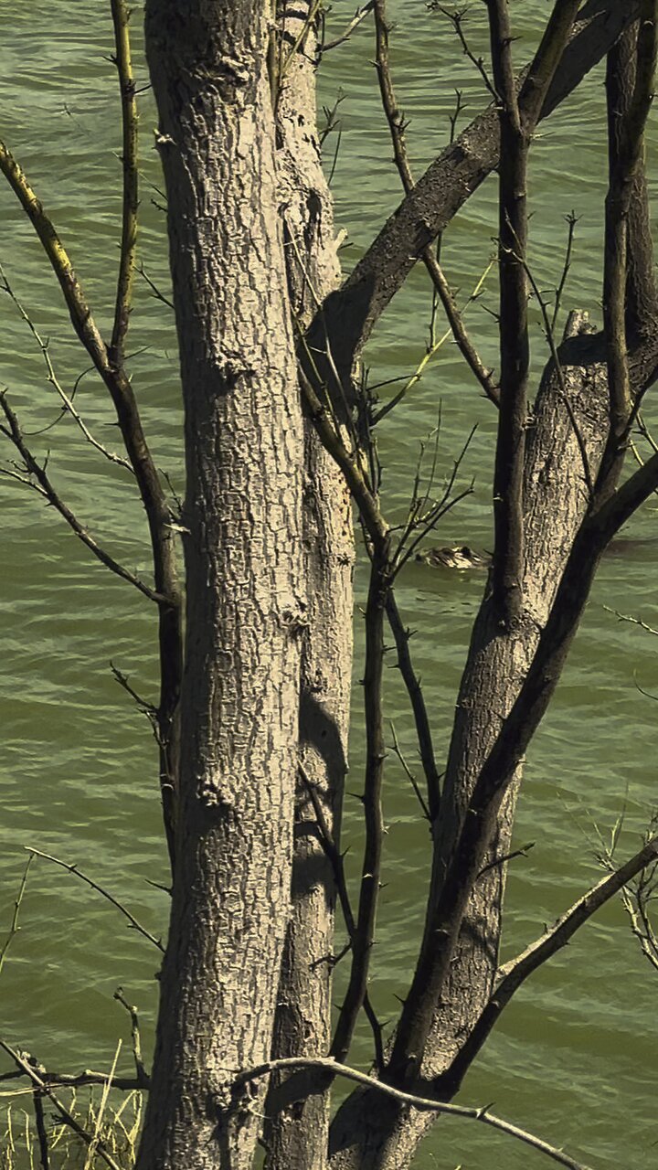 I love nature …. And I capture my life in nature