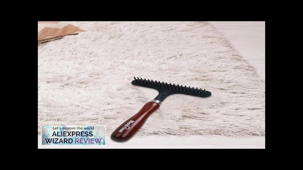 Carpet Grooming Rake Handheld Clean Tool Hair Cleaner Professional ...