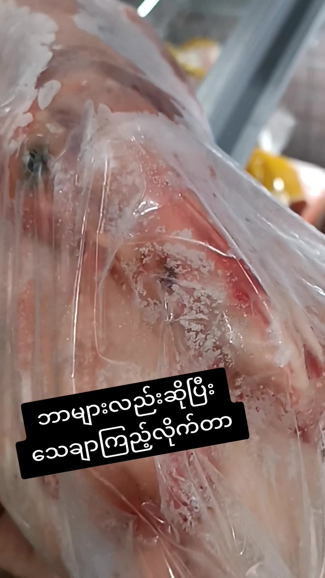 ဘဲအကောင်လိုက် ထုပ်ပိုးခြင်း - ဘဲကောင်လုံးဘူး Frozen Duck Frozen Duck ...