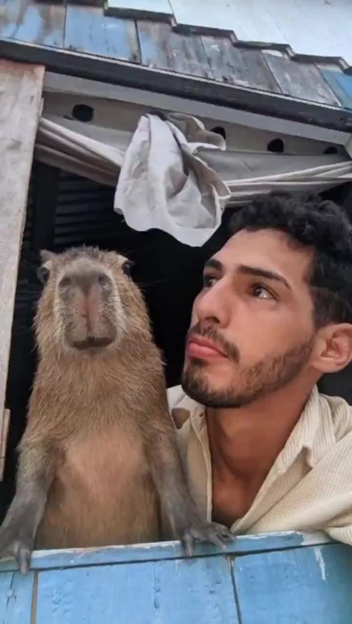 Being best friends with a capybara.
