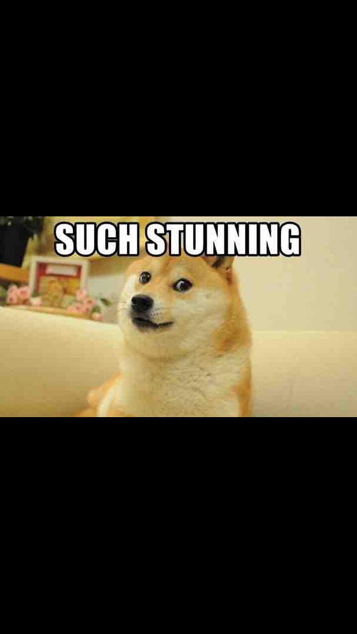 Ooh, He Did A RESISTANCE: Leftist Vandalizes Donald Trump's Star On ...