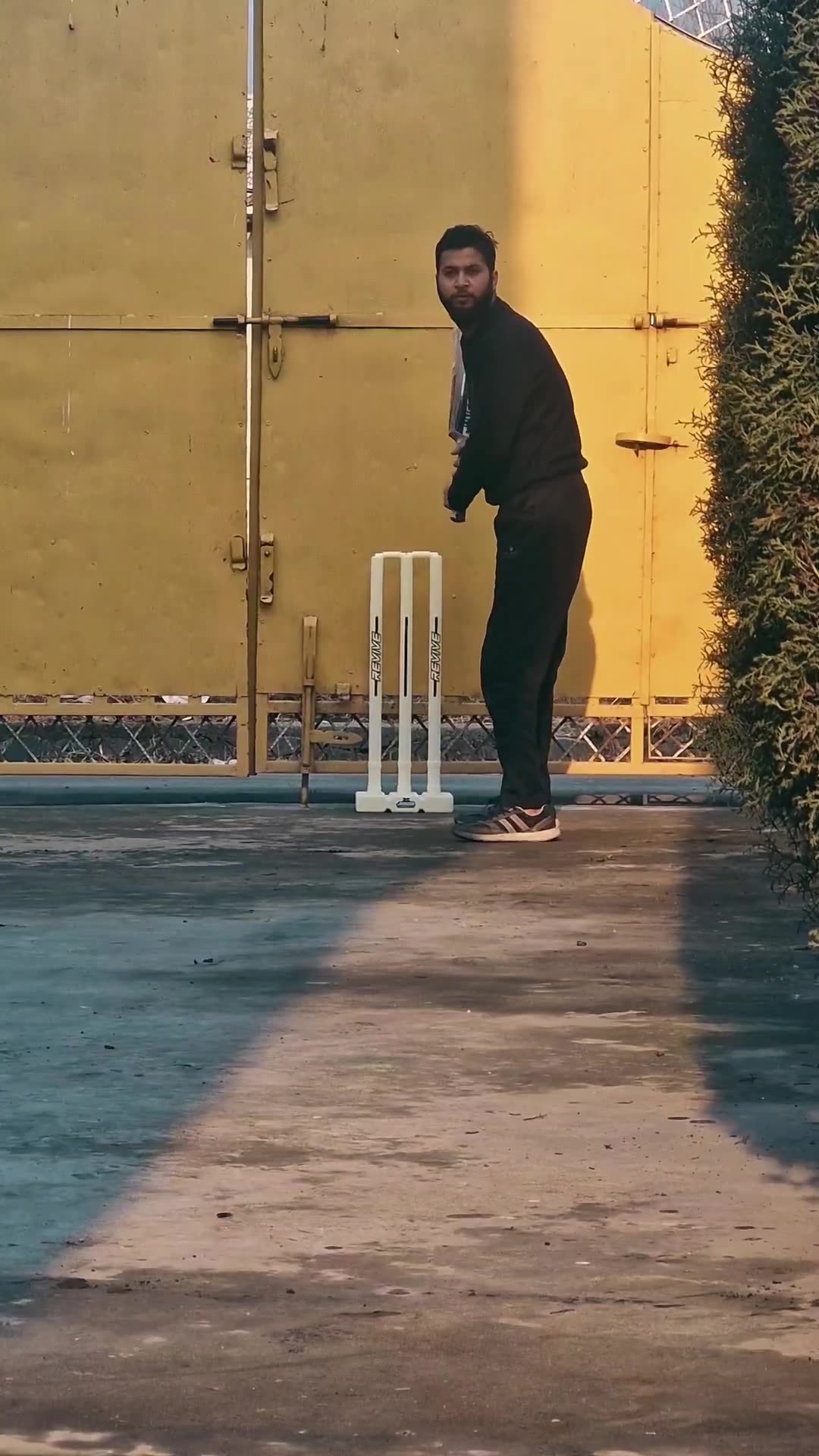 Backyard cricket highlights 🏏