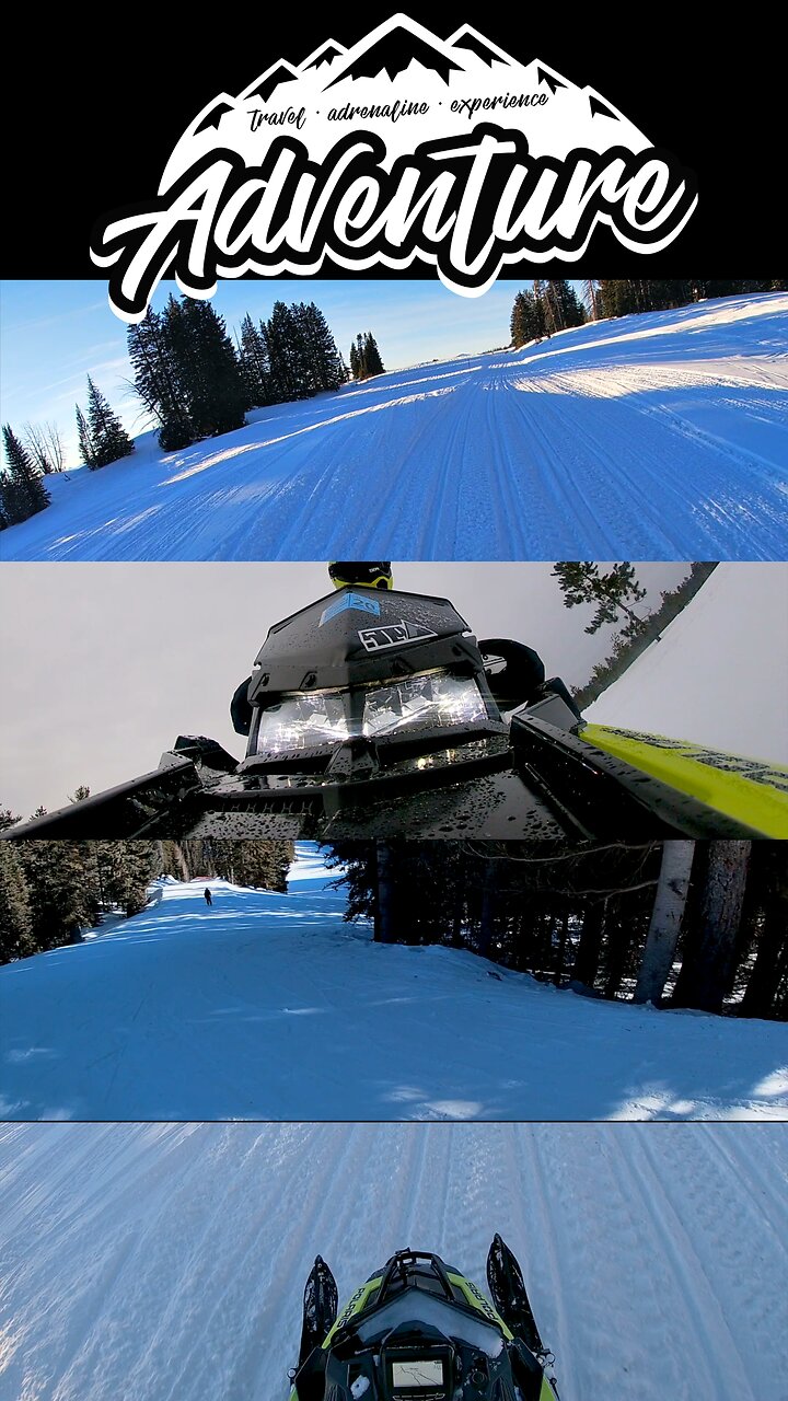 Extreme Sledding: The Ultimate Winter Adventure!
