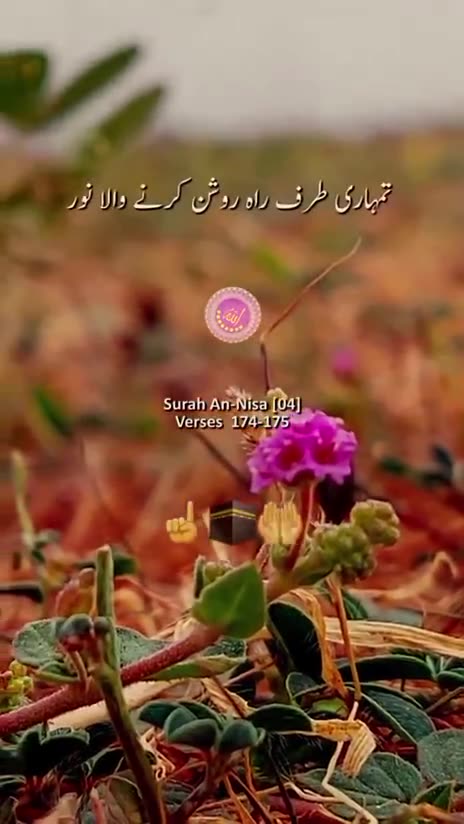 Beshak 💯☝️🕋