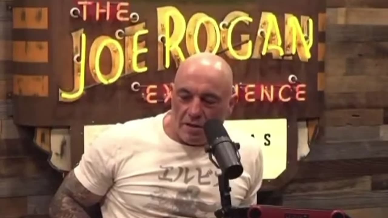 Musk is just as shocked as everyone else about the Epstein document ...