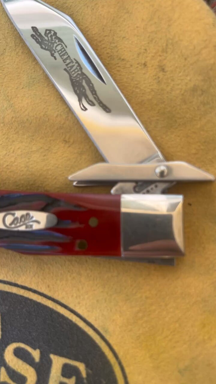 Beautiful Blood Red Cheetah (Case XX)