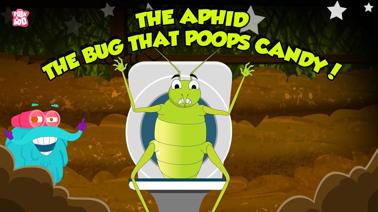 Aphid- The Bug That Poops Candy | Sap-Sucking Insects | Candy Pooping ...