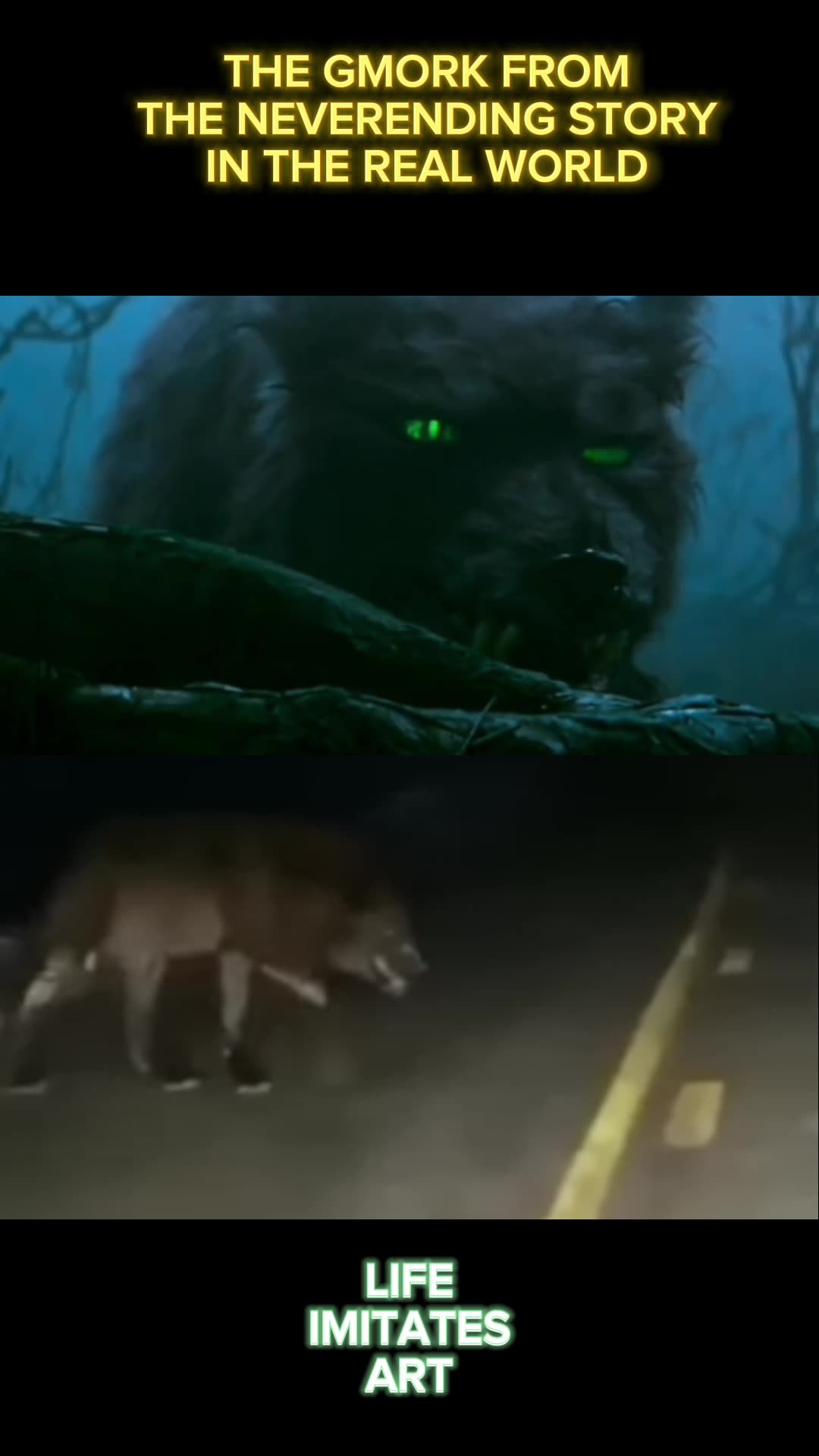The Neverending Story's Giant Wolf the Gmork is real?