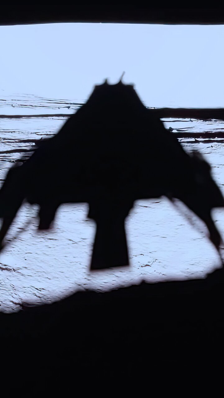 March 2, 2025: #Firefly #Aerospace shared two images of the #LunarArea ...