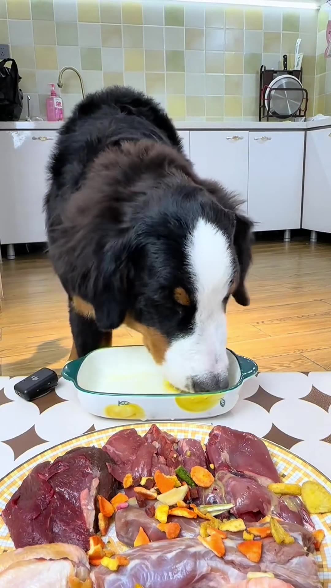 A Delicious Feast for Your Furry Friend: The Right Way to Enjoy ...
