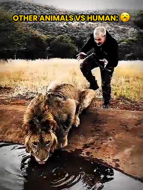 Humen vs animal wait for last one
