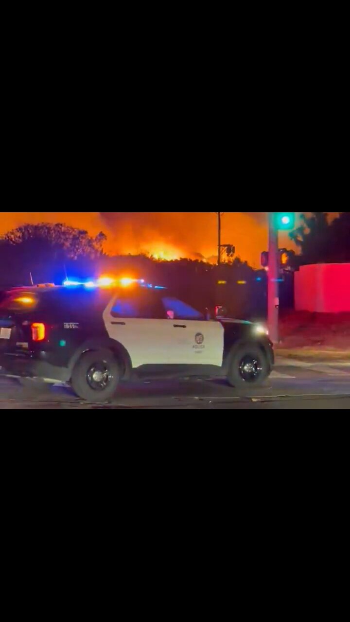 Frantic Police, Overwhelmed By The Scale Of Fire Disaster, Now Blocking ...