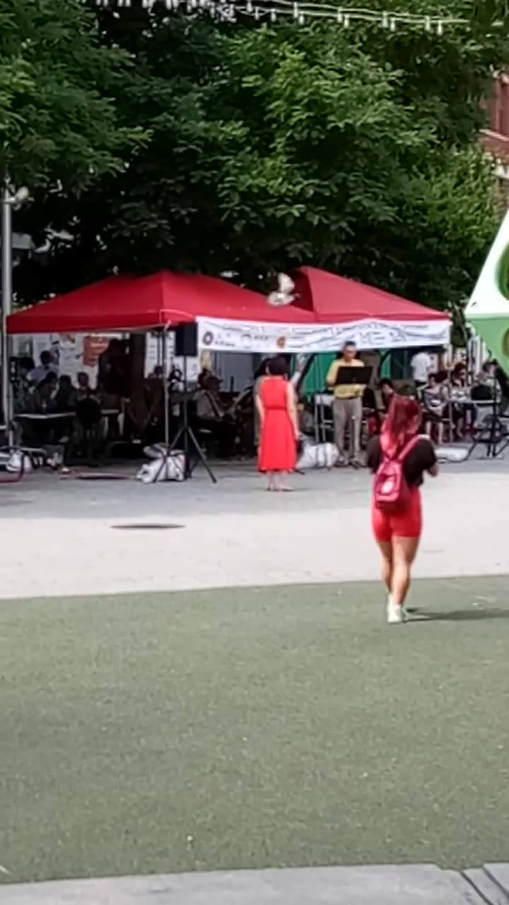 Auntie Kay & Uncle Frank Chin Park China Town Musical Performance