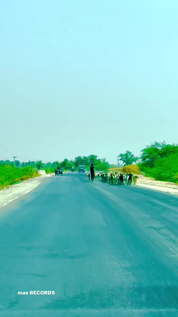 Travel Way to Alae Kaade Village life #maxrecords #larkana #sindh #pakistan