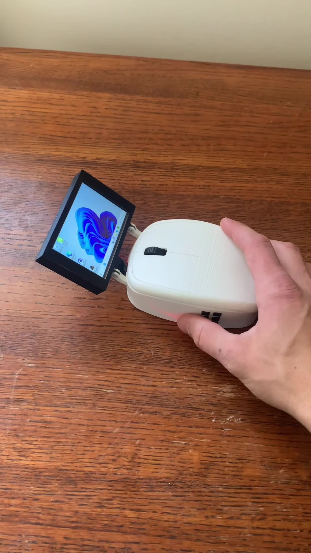 I Put A PC In My Computer Mouse
