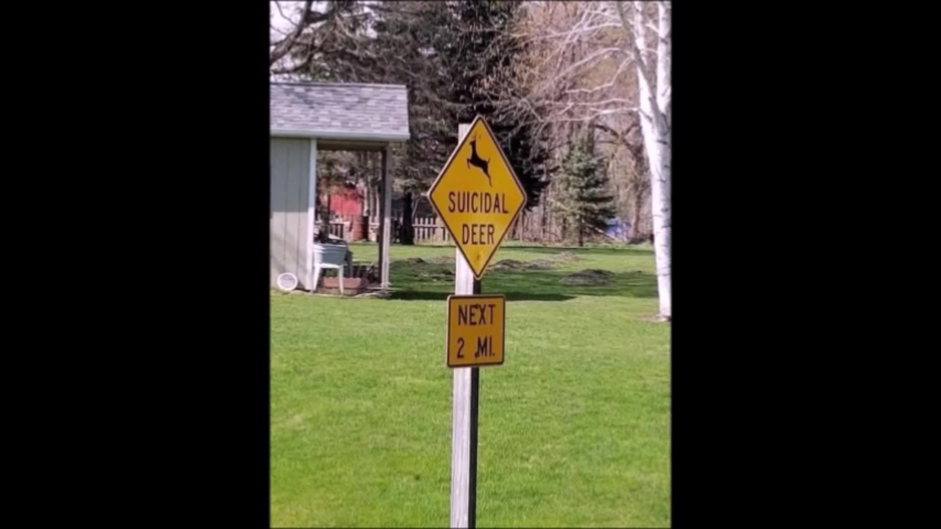 10925 FLASHBACK! 2020 Favorite Memes Jokes Cartoons