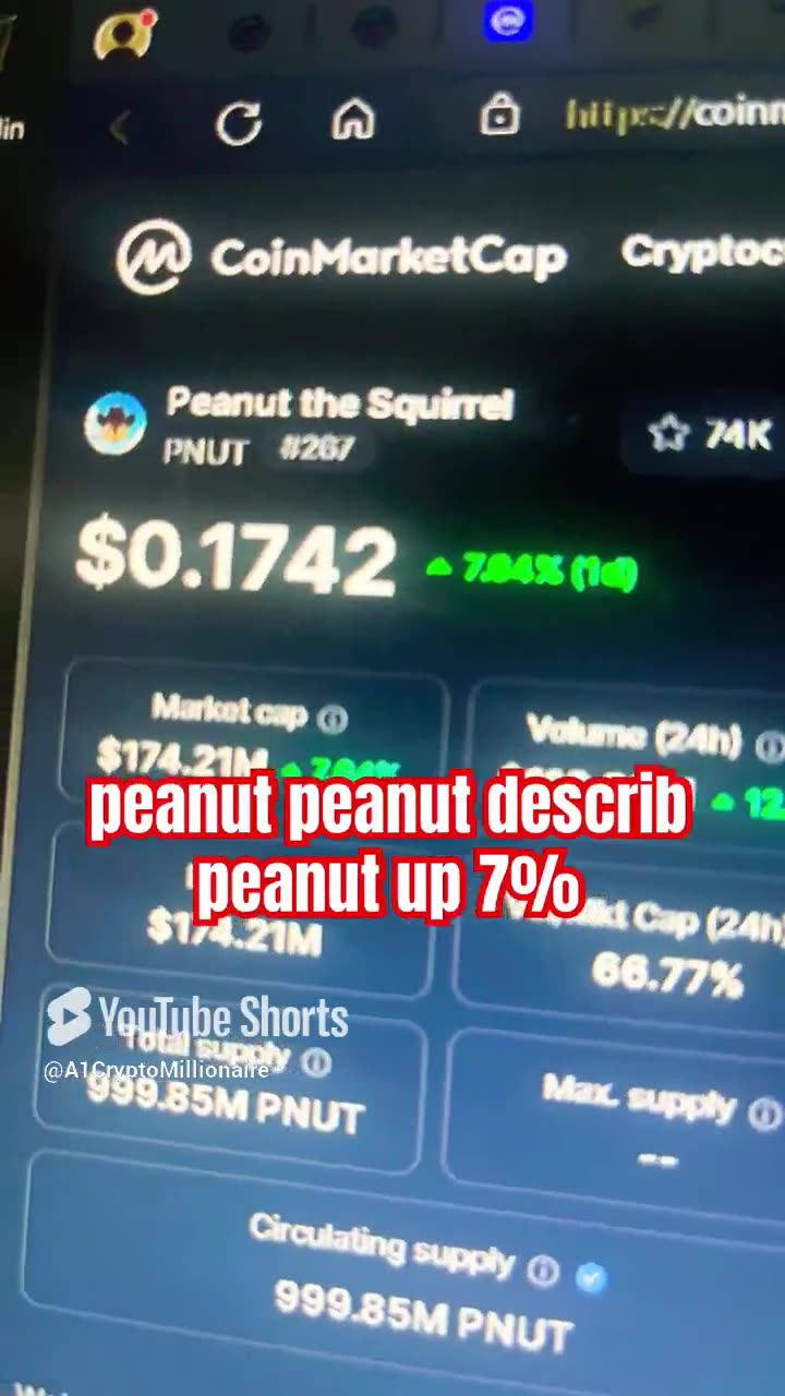 peanut the squirrel coin price prediction! #fyp