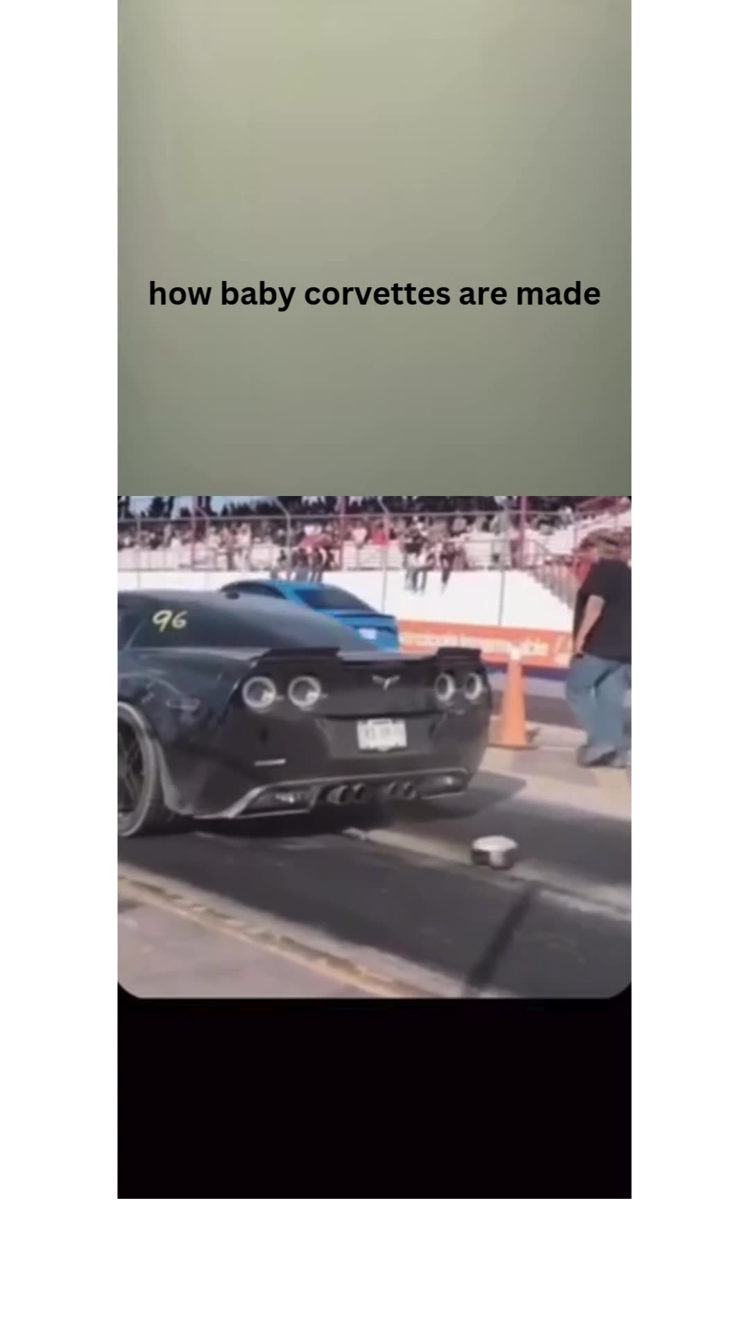 How baby Corvettes are made