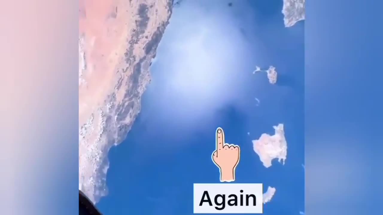 Space flies