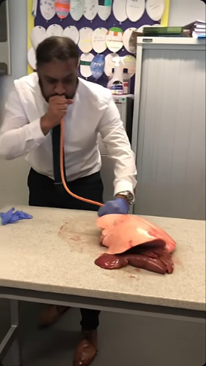 Lung inflation in Science Lesson #science #teacher #biology