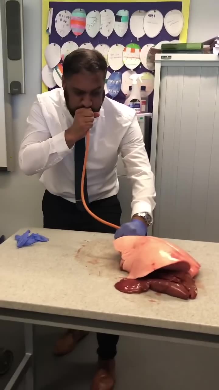 Lung inflation in Science Lesson