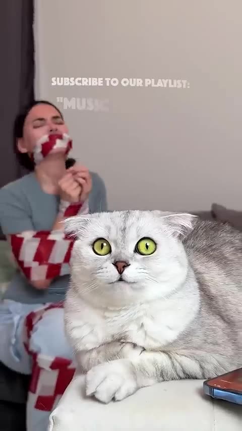 Music for cats by Sonyakisa🎵 Subscribe to our playlist. Link in bio. # ...