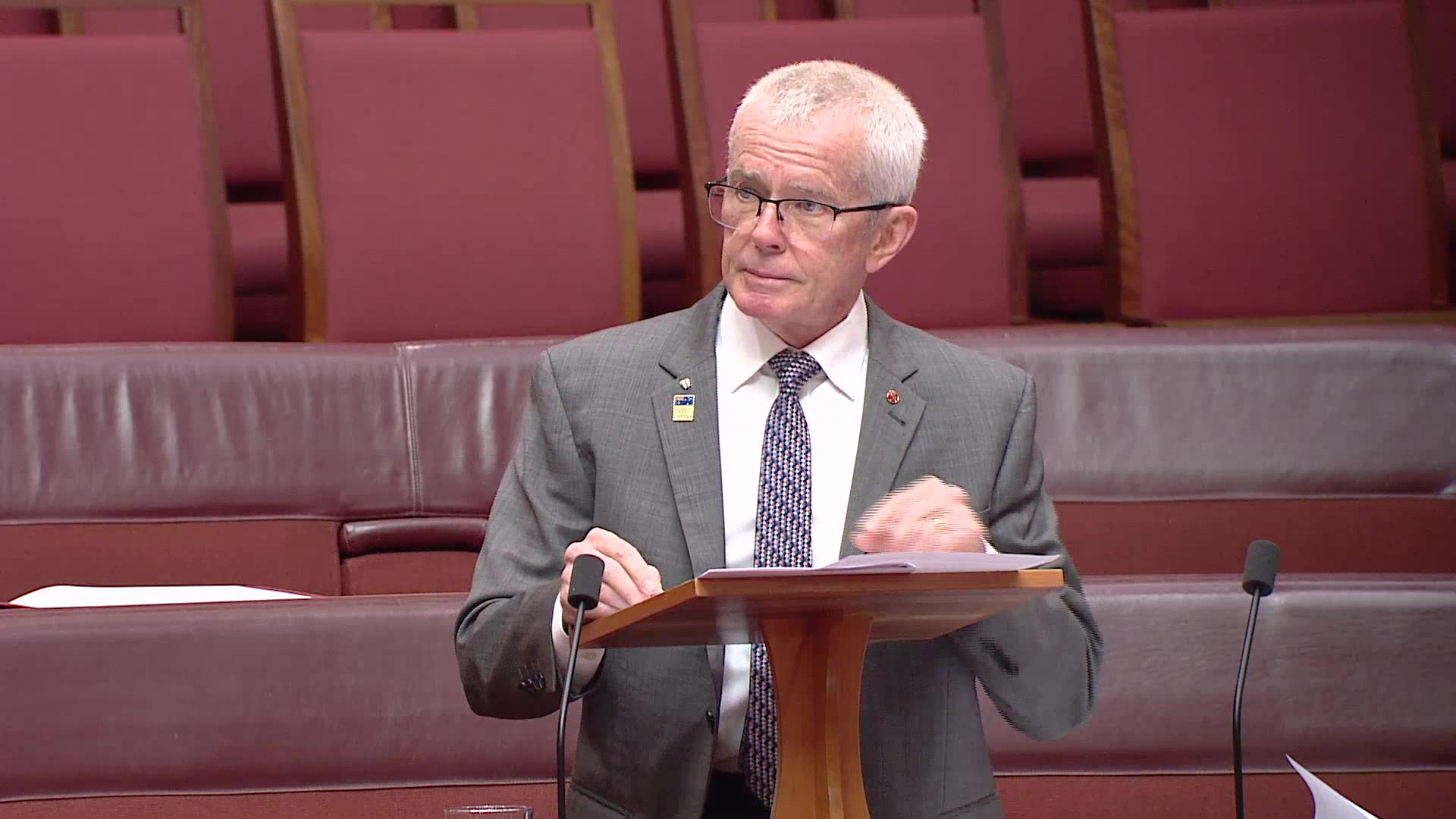 One Nation’s View of “The Future Made in Australia” Bill 2024