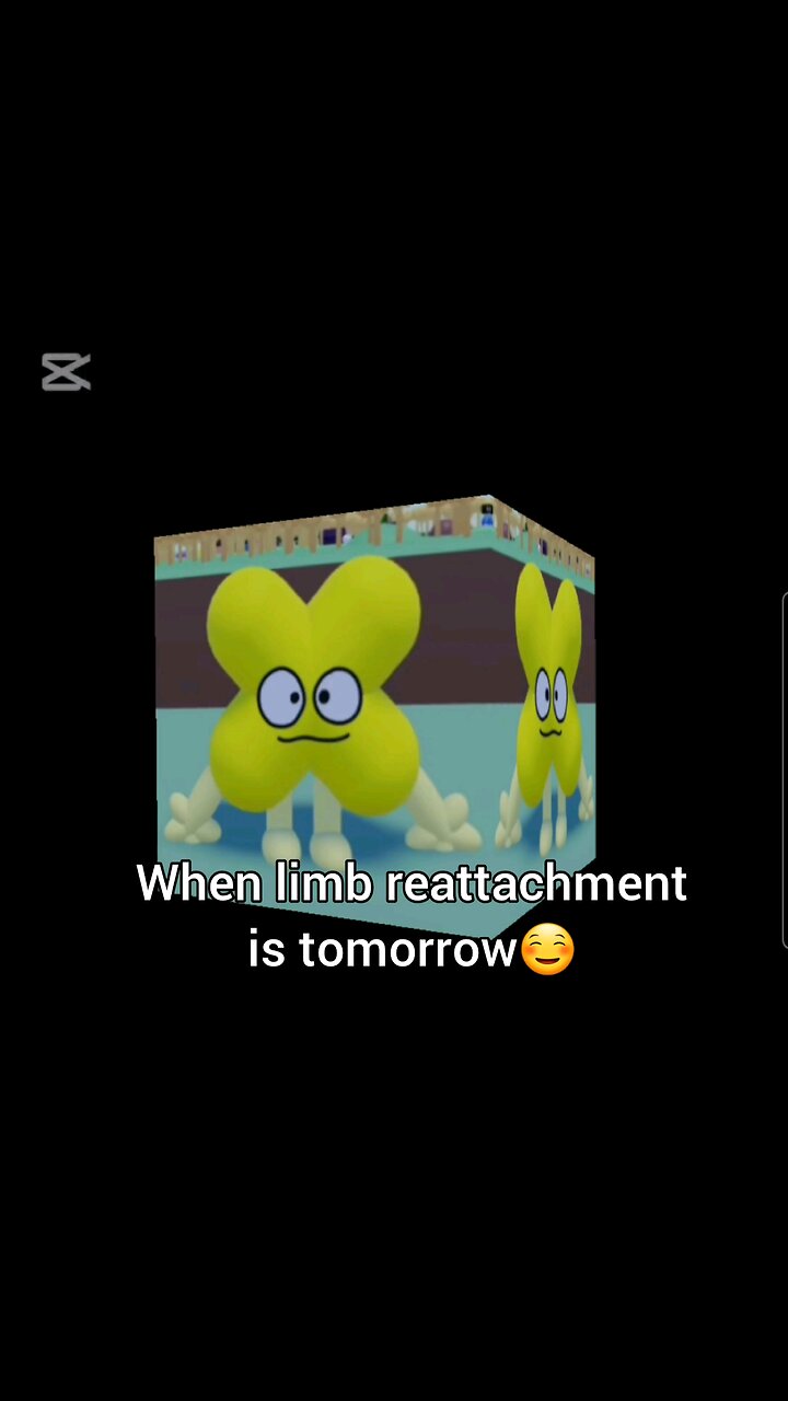 Limb reattachment center🥰💖🎀