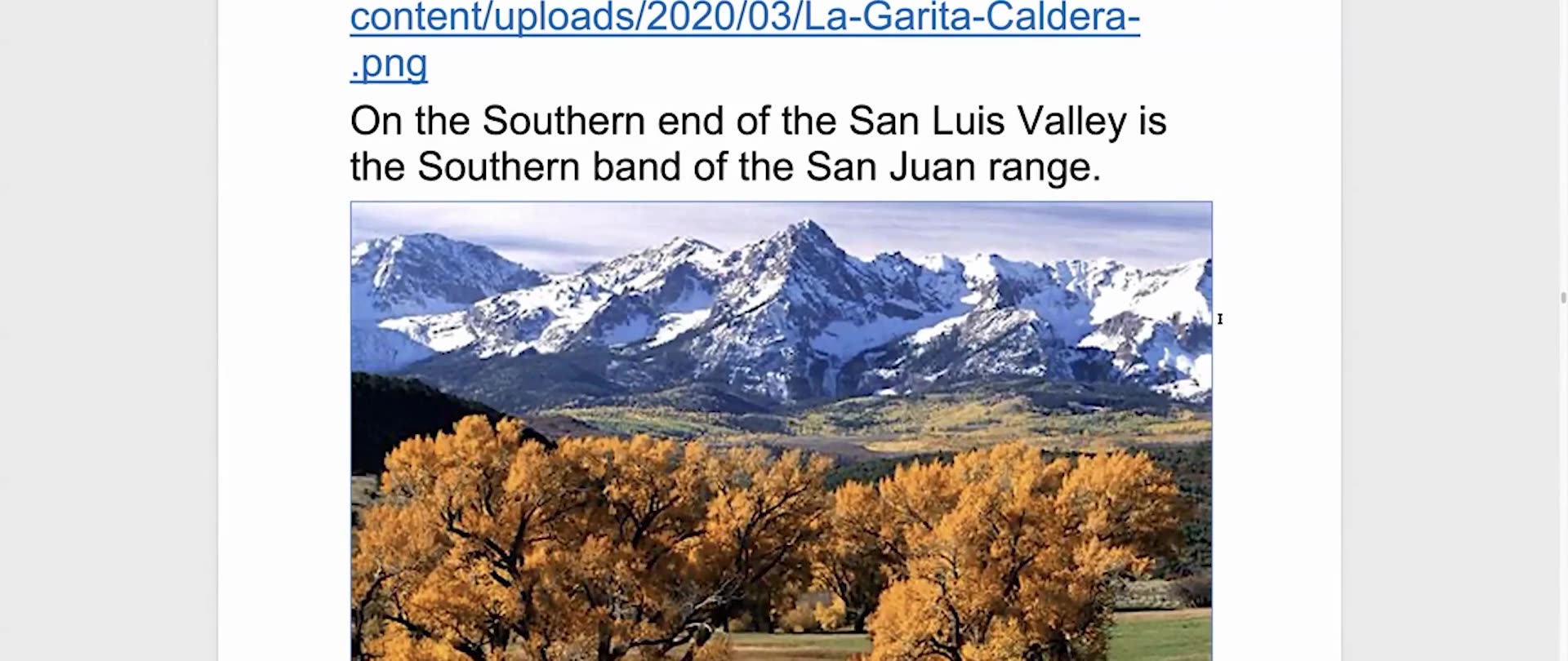 GENE DECODE UNVEILS THE MYSTERY OF ANT BEINGS| GALACTIC TALK